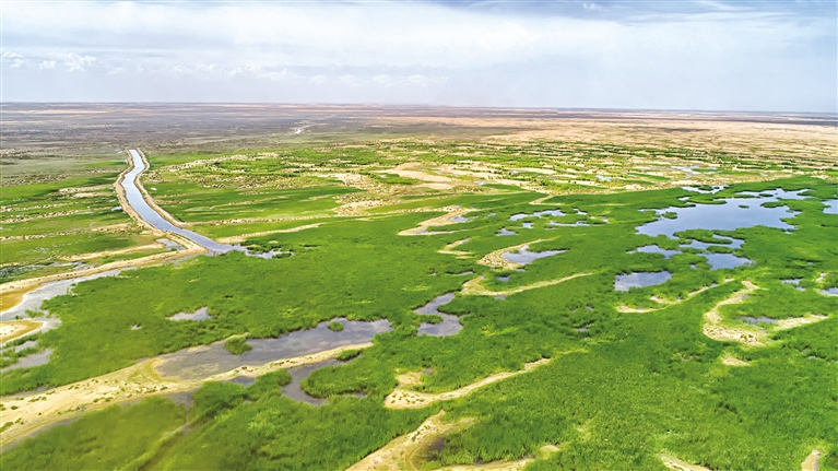 内蒙古日报数字报-世界荒漠化治理看鄂尔多斯